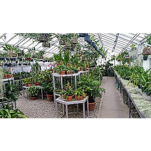 Miracle LED Absolute Daylight Spectrum, Ultra Grow Lite 2-Pack, 12W (604868)