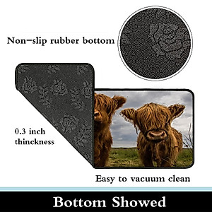 TsyTma Cute Wild Highland Cows Kitchen Rugs Floor Mats Washable Non-Slip Bathroom Rug Runner Kitchen mats for Floor Laundry Room Mat Western Kitchen Decor 39x20 Inch