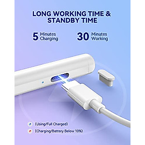 Stylus Pen for iPad with Palm Rejection, Tilt Sensitivity, ZVFBC iPad Pencil for Touch Screens Compatible with iPad Air 3rd/4th/5th, iPad Pro 11/12.9 inch, iPad 6th/7th/8th/9th/10th, iPad Mini 5th/6th