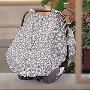Diono Infant Car Seat Cover, Universal Weather Protection Canopy for Baby, Adjustable and Breathable with Insect Net, Gray