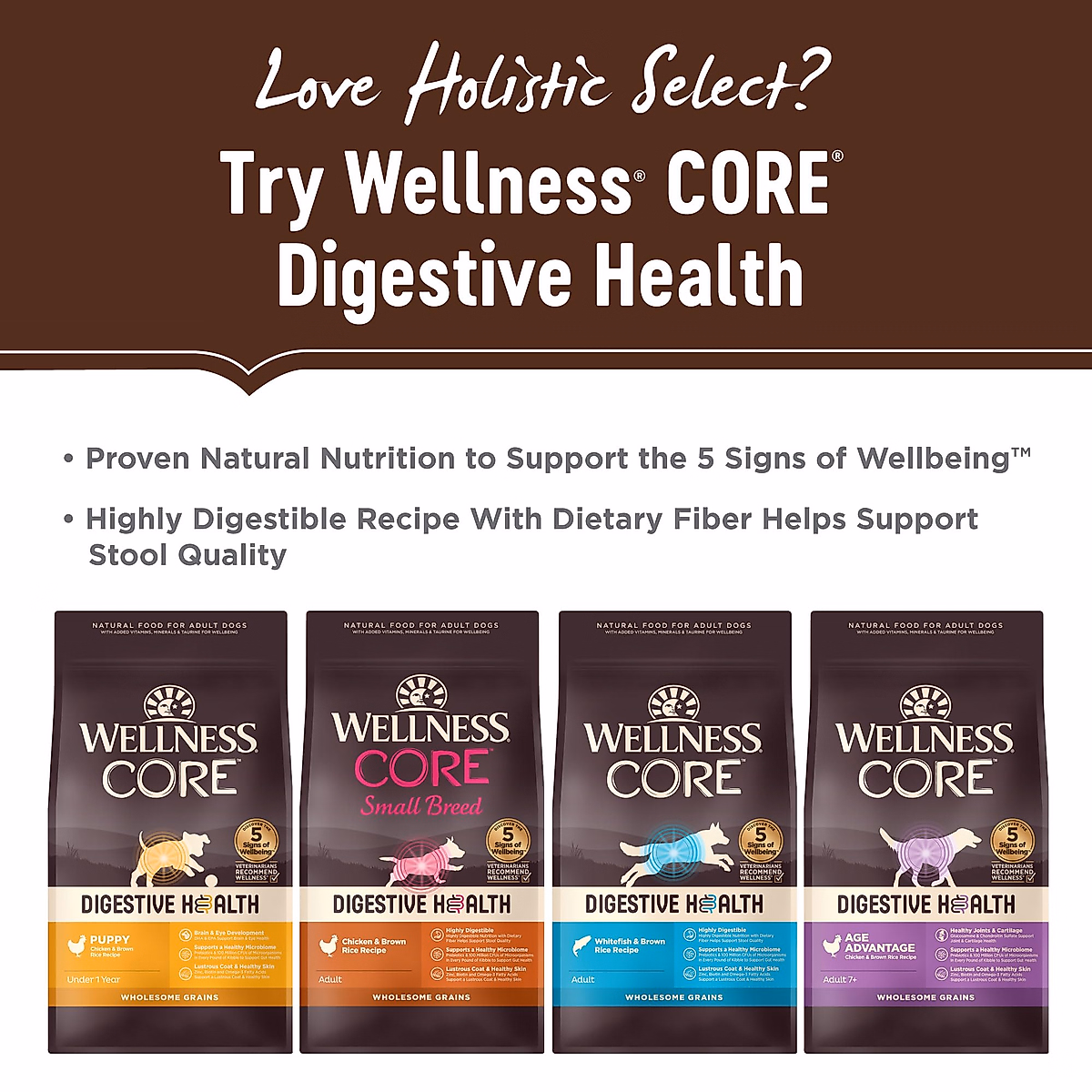 Holistic Select Natural Pet Food Holistic Select Natural Grain Free Dry Dog Food, Senior Chicken Meal & Rice Recipe, 24-Pound Bag