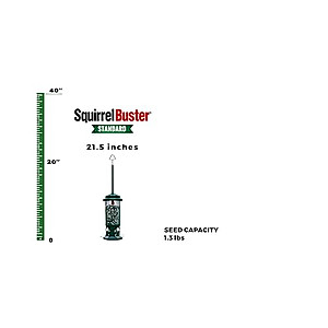 Squirrel Buster Standard Squirrel-proof Bird Feeder w/4 Metal Perches, 1.3-pound Seed Capacity, garden green