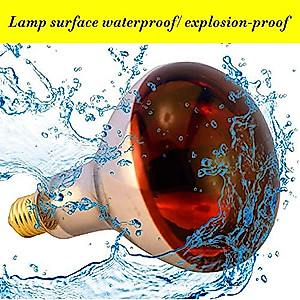 BONGBADA Heat Lamp Bulb R40 100 Watt 2 Pack Painted Red Infrared Glass Lamp Bulb for Food Service, Brooder Bulb, Chicks, Pet, Bathroom (Red Painted-1.0 Version, R40/125W)