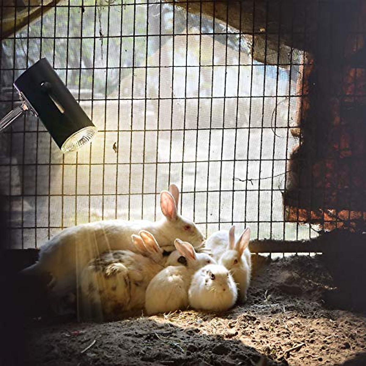 GABraden Reptile Pet Coop Heater 50W Safer Than Brooder Lamps Used for Rabbits, Chickens, Hamsters and Other Small Animals (Black)