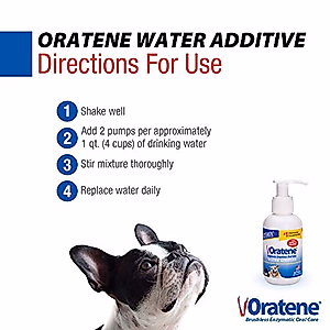 Pet King Brands Zymox Oratene Enzymatic Brushless Oral Care Water Additive, 4oz