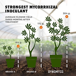 Mycorrhizal Inoculant by DYNOMYCO – High Performing Strains – Concentrated Formula – Improves Nutrient Uptake – Increases Plant Yields Enhances Resilience to Stress Saves Fertilizer (3.5 Oz / Up to 20 Plants)