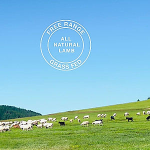 Yummy Nammy - All Natural, Grass-Fed & Free-Range, 100% Lamb Green Tripe Treats with Probiotics, 3.5oz