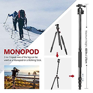 Neewer Carbon Fiber 66 inches/168 centimeters Camera Tripod Monopod with 360 Degree Ball Head,1/4 inch Quick Shoe Plate,Bag for DSLR Camera,Video Camcorder,Load up to 26.5 pounds/12 kilograms
