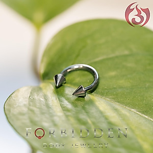 Forbidden Body Jewelry 16g 8 mm (5/16") Titanium Double Spike Horseshoe Body Piercing Ring, 3 mm Cones