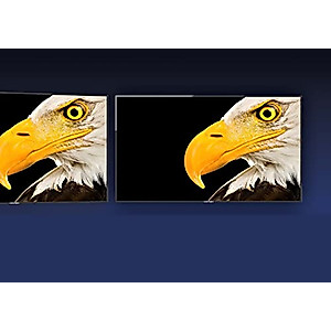 GTUOXIES 110 Inch UHD LED Smart TV, 4K Screen Television with Mount & Stand TS110TV High Resolution LCD Screen 16:9 Indoor Cinema with Anti-Glass WiFi, HDMI, USB Ports