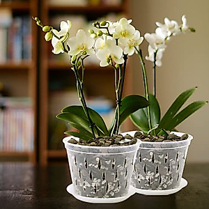 lanccona Orchid Pot, 8 Inch 4 Pack Orchid Pots with Holes and Saucers, Clear Plastic Orchid Pots