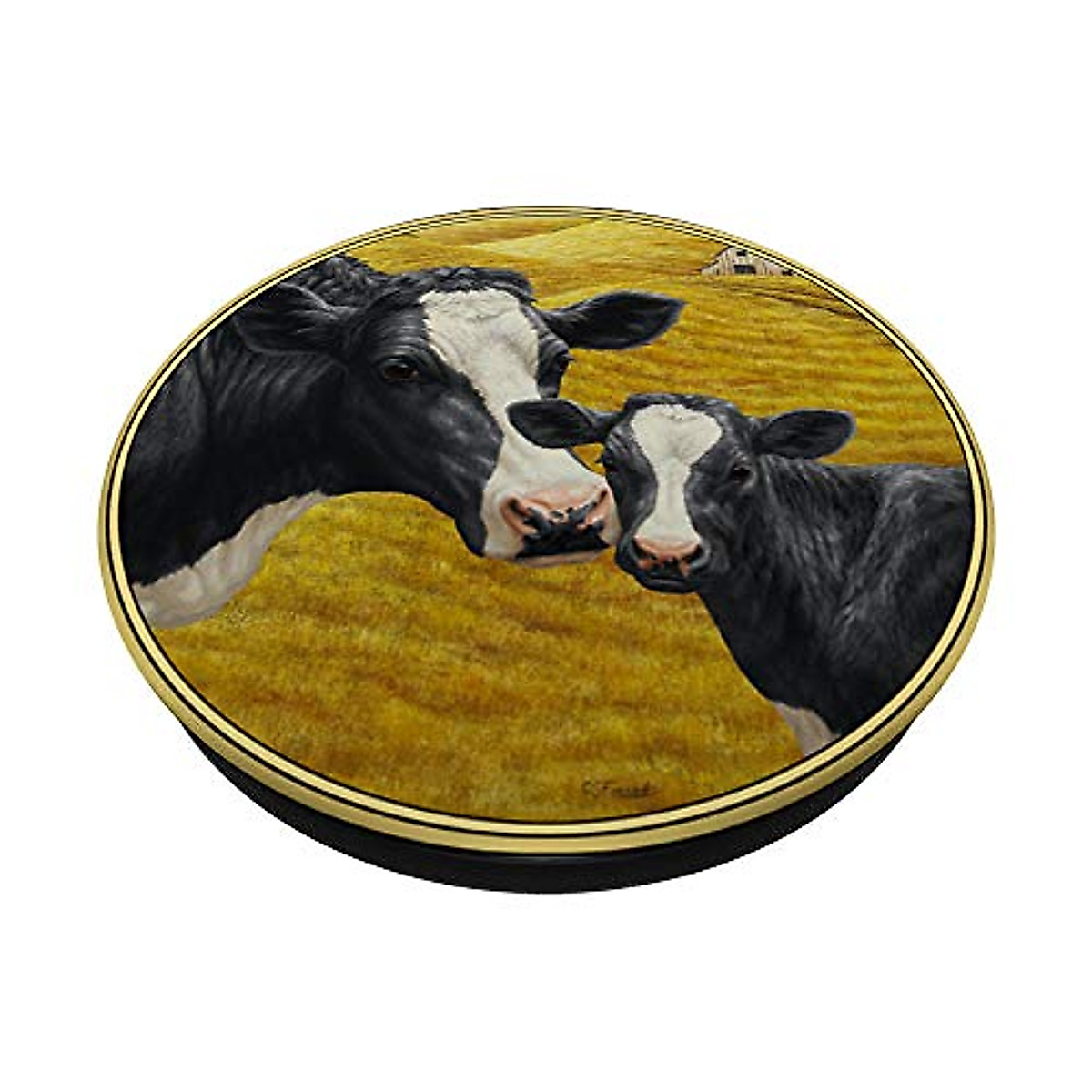 Holstein Cow and Cute Calf