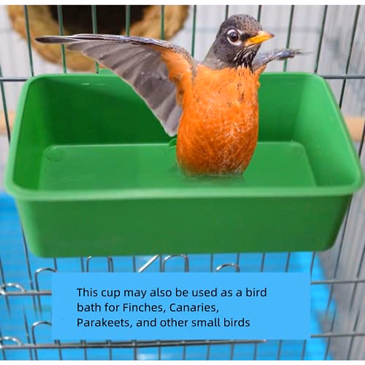 12 Pcs Bird Plastic Feeder,Seed Food Feeding Cups Plastic Hanging Bowl for Pet Parrot Parakeet Gamefowl Poultry Pigeon,Green