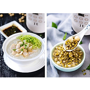 MiGoo Portable Stew Kettle Slow Cooker Electric Mini Travel 0.7L White Without Inner Liner Poach Boil Water Timing Keep Warm Multi-Use Low Power