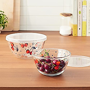 Kate Spade Vintage Cherry Dot 2-Piece Round Storage Set, 3.95 LB, Multi