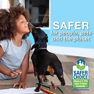 Bona Hardwood Floor Cleaner Refillable Spray Mop Cartridge, 34 Fl Oz