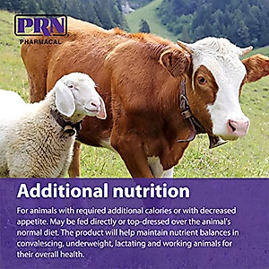 PRN Pharmacal STAT - High Calorie Nutritional Supplement to Help Restore Hydration & Nutrition Levels in Animals - Vanilla Flavored Dietary Support with Vitamin A, D3, C, E, & More - 16 Fl Oz