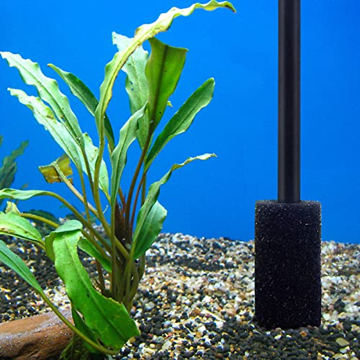 Dannisly 4PCS Aquarium Pre-Filter Foam Sponge Roll Large - Intake Filter Sponge for Aquarium Fish Tank