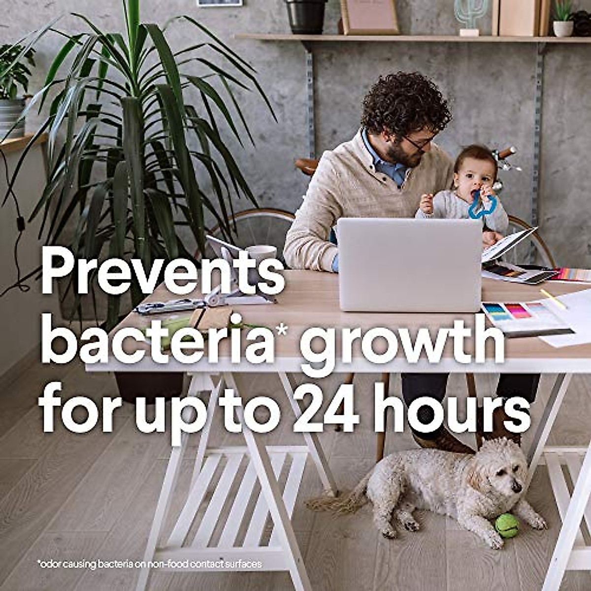 Fresh Step Clorox Disinfectant, 75 Count (Pack of 3), White, 225