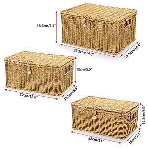 Hipiw Resin Woven Baskets Bin with Lid & Handle - Set of 3 Rectangular Shelf Baskets Multipurpose Storage Basket Boxes Home Decorative Container for Closet Shelf Organizing, Large Size