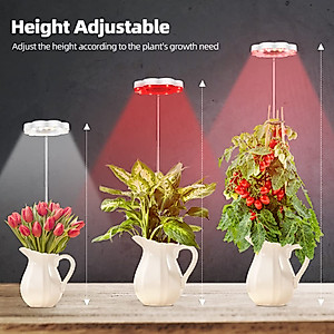 PDGROW LED Grow Light for Indoor Plants, Full Spectrum Plant Halo Lights with Red Light, Height Adjustable Growing Lamps with Timer, 3 Lighting Modes & 10 Dimmable Brightness for Small Plants (1 Pack)