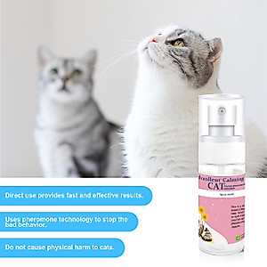 Advanllent Cat Calming Pheromone Spray (60ML) | A Solution Recommended by a Veterinarian | Help Relieve Anxiety Caused by Stress, Travel, Noise, etc.
