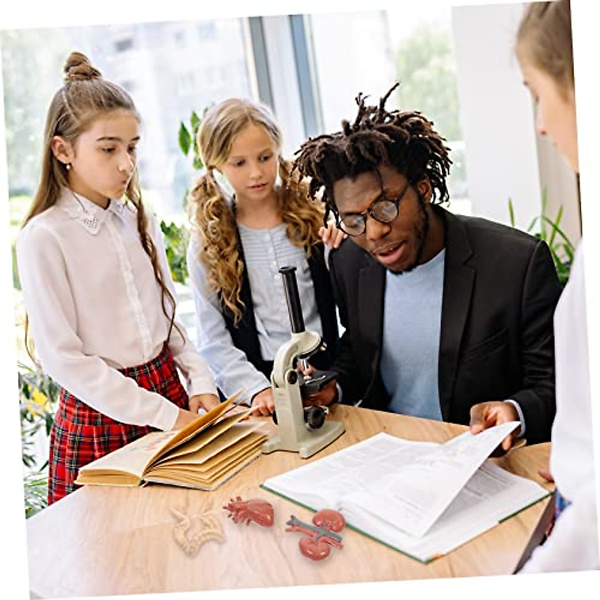 2 Sets Human Visceral Model Human Teaching Aid Human Torso Body Model Human Internal Organs Model Human Body Model Torso and Skeleton Models Anatomy Mannequin PVC Child Major Suite