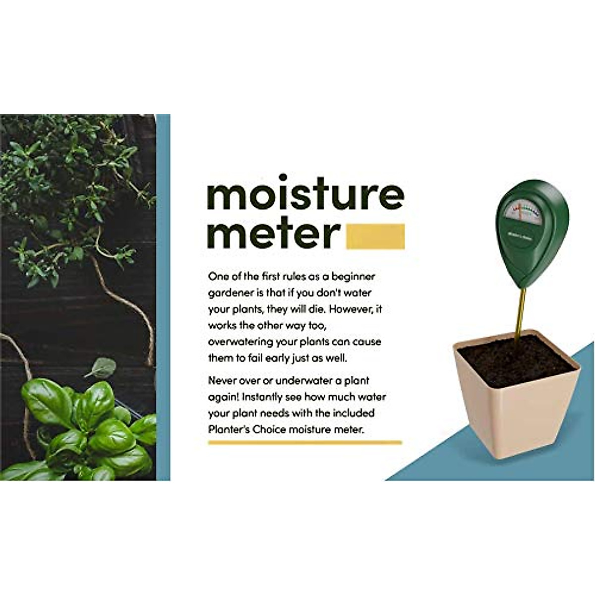 Planters' Choice Indoor Plant Moisture Meter Soil Tester - No Batteries Required : Water Sensor Hydrometer for Plants : Houseplant Care - Gardening Tools - Planting Accessories