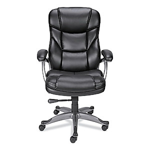 Alera ALEBN41B19 18.11 in. - 22.05 in. Seat Height Birns Series High-Back Task Chair Supports Up to 250 lbs. - Black Seat/Back, Chrome Base