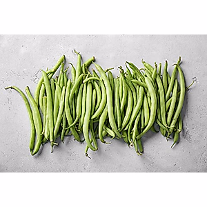 "Kentucky Blue" Pole Bean Seeds for Planting, 30+ Heirloom Seeds Per Packet, Non GMO Seeds, (Isla's Garden Seeds), Botanical Name: Phaseolus vulgaris, Great Home Garden Gift