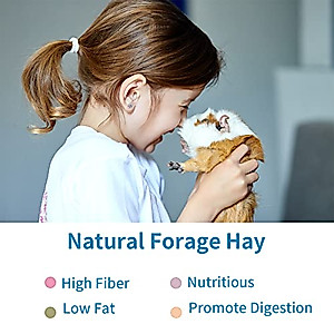 TEEMEE 320g Timothy Hay Sticks, Small Animal Chew Toys for Rabbit, Guinea Pig, Chinchilla, Rat, Gerbil, Hamster, Natural Teeth Grinding Toys, Handmade Treats