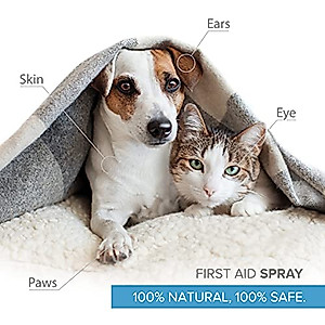 Premium Colloidal Silver 300ml 40ppm ● For Pets (Dogs, Cats, Fish) ● & Spray to Fill ● 100% Natural ● Higher Concentration, Smaller Particles = Better Results ● Lab Certified ● For Ear, Eyes, Skin