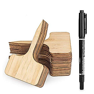 HOMENOTE 60pcs Bamboo Plant Labels (6 x 10 cm) with Bonus a Pen Vegetable Garden Markers T-Type Plant Tags for Plants