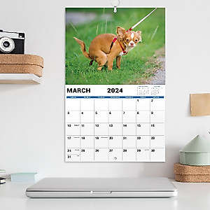 Gag Gifts - 2024 Wall Calendar, White Elephants Pooping Dogs, Calendar 2024 from Jan.2024 to Dec.2024, 12 Monthly Calendar Planner, Wall Calendar 2024, Funny Calendar for Family, Friends