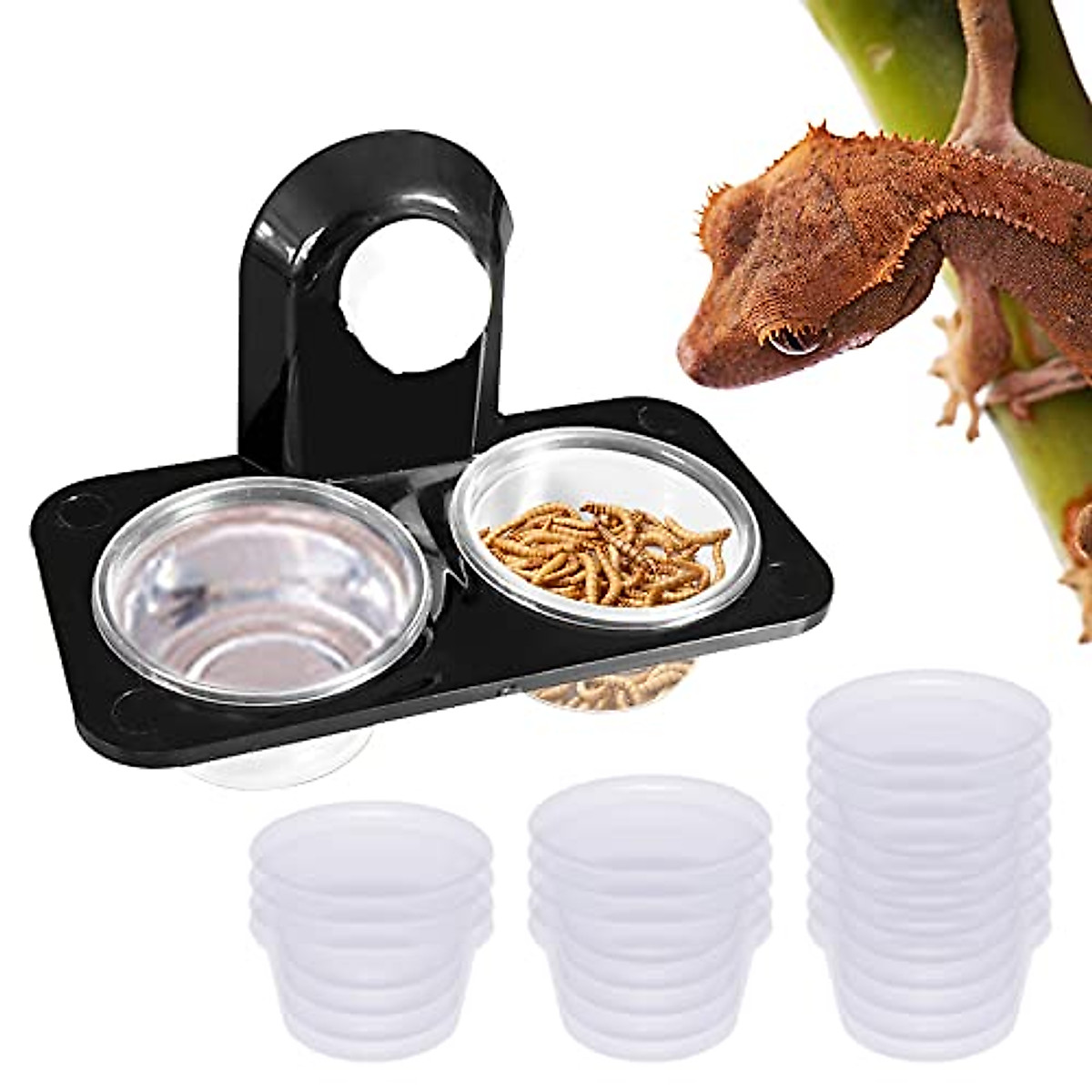 Synra Gecko Dual Feeding Ledge, Space Saving Design, Maximizes Floor Area, Black and White, 20 Reusable Transparent Food and Water Cups, Crested Gecko Tank Accessories