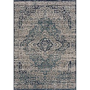 Bloom Rugs Traditional Blue Gray Area Rug - Vintage Boho 3x5 Rug for Entryways (3' x 5')