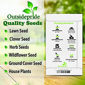 Outsidepride Amaranthus Green Love Lies Bleeding Garden Foliage Plant Bush Seeds - 5000 Seeds