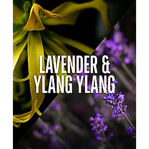 GO247 Grooming Cream - Light Hold, Natural Finish, 2 Oz