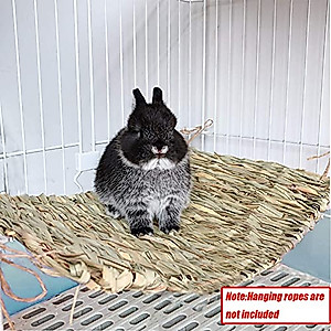 Tfwadmx Rabbit Grass Mats,16.5''x11''Large Natural Woven Seagrass Mat Bunny Bed Chew Mat Sleep for Chinchillas Guinea Pigs Ferret Hamster Squirrel and Small Animals -6 Pcs
