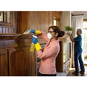 5 Pack Home Dust Mask 8661PC1-A