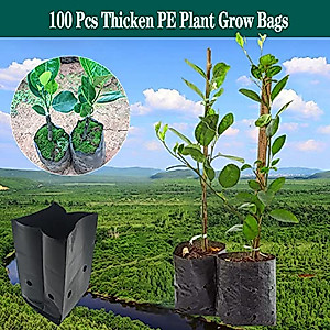 DredQcco 100PACK Plant Grow Bags,Thicken PE Seedling Bag Fruit Tree Seedling Cup Bonsai Planting Bag with Breathable Holes for Garden Black Planting Bags Nursery Bags (5.9'' Dia x 10'' H)