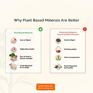 Dr. Dobias - GutSense, Advanced Prebiotic & Probiotics for Dogs, Canine-Specific Dog Probiotics, Dog Supplement for Healthy Digestion, Good Bowel Movement & Immune System, Pet Supplies, 60 Capsules