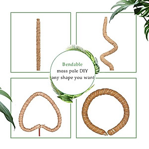 Galiejar Moss Pole,27'' Bendable Moss Pole for Plants Monstera,Plant Stakes Plant Support Monstera Pole Moss Poles for Climbing Plants (2PC)