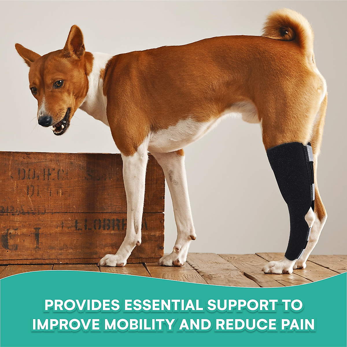 Dog Rear Leg Braces - Braces for Back Legs - Medium-Sized Dog Ankle and Small Dog Knee - Leg Sleeve, Hock and Ankle Support - Joint Wrap Compression Brace for ACL Tear - Canine Broken Leg Protector -