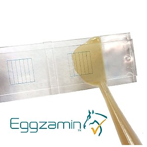 Bundle of 2 McMaster Method Microscope Slides, FEC (Fecal Egg Count) Double Chamber Slide for Parasite Testing, Count Parasite Eggs in Horses, Sheep, Goats, Cattle.