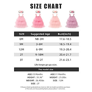 First Birthday Outfits for Baby Girl,Toddler Girls Fancy Tulle Flower Girl Tutu Dress for Wedding Guest 1st Birthday Photoshoot Blush Pink