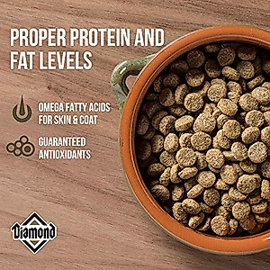 Diamond PREMIUM RECIPE Maintenance Complete and Balanced Dry Dog Food for a Moderately Active Dog, 40lb