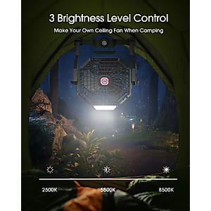 Drchop Portable Rechargeable Fan, 8-Inch Battery Operated Fan with Light & Hook, 10400mAh Travel Tent Fan, Quiet USB Desk Fan for Table, Outdoor, Army Green