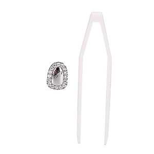 ZJchao Single Tooth Grillz, Hip Hop Teeth Decoration, Single Tooth Gorgeous Teeth Accessory Decoration for Halloween Party Hip Hop Show(Single silver door)