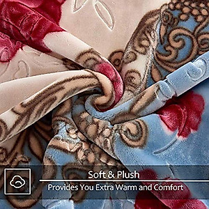 JYK Heavy Korean Faux Mink Fleece Blanket, 5 LB - 2 Ply Reversible 520GSM Silky Soft Plush Warm Blanket for Autumn Winter (Queen, Flower/Light Blue)